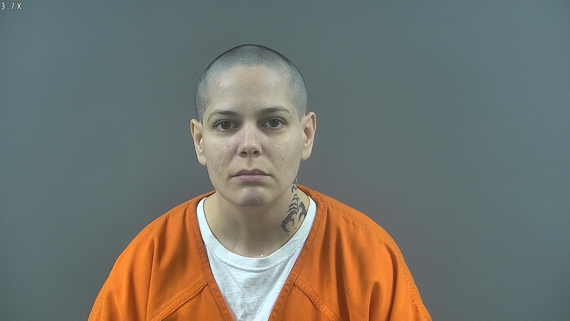 Driver in deadly wrong-way I-65 crash pleads guilty | Bowling Green ...