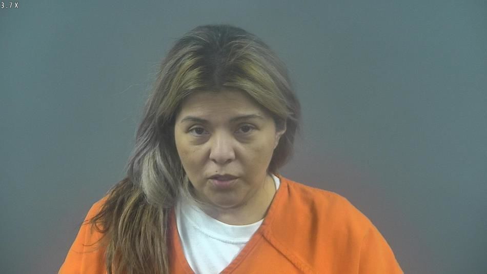 House candidate Lopez charged with public intoxication | Bowling Green ...