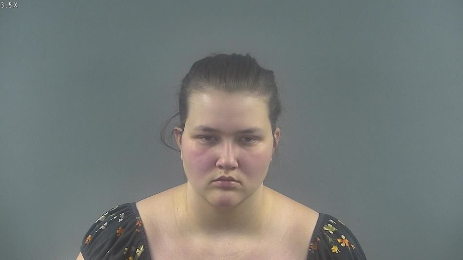 BG couple faces abuse charges | Bowling Green Daily News