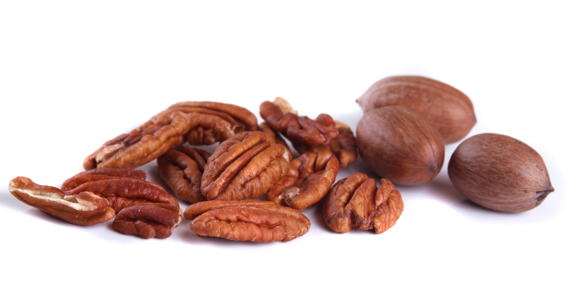 THE FOLKLORE OF PLANTS: Pecans are the nuts of wealth | Bowling Green ...