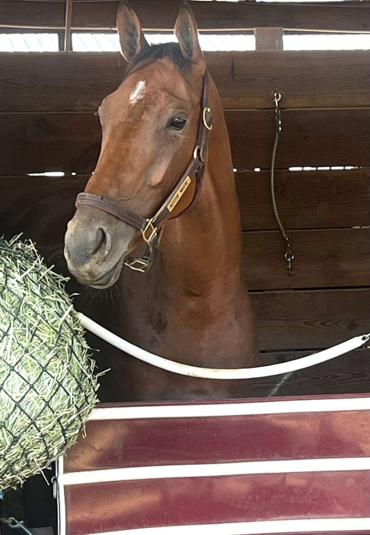 Neecie Marie goes from dirt sprints to turf long and longer | Bowling ...