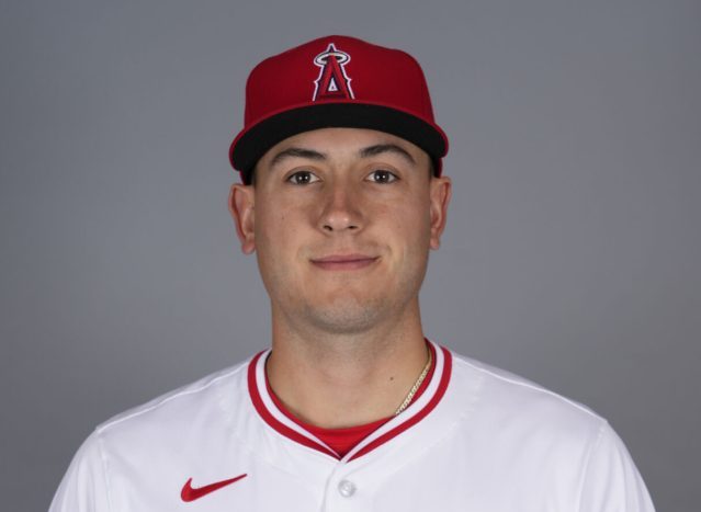 BG native Darrell-Hicks gets first callup to MLB | Bowling Green Daily News