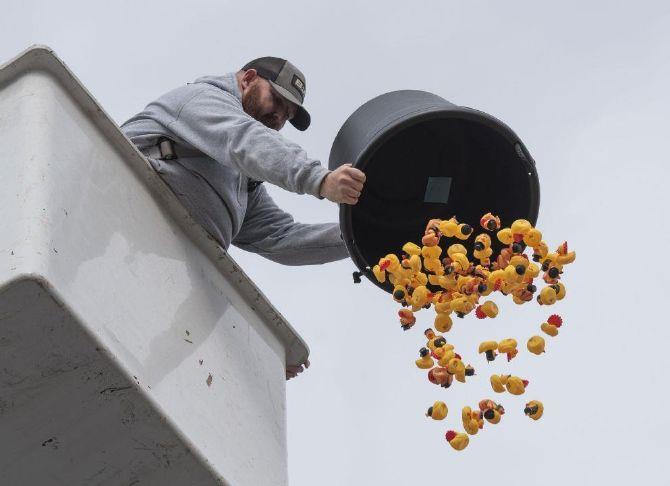 Second annual Duck Drop held in downtown | Bowling Green Daily News